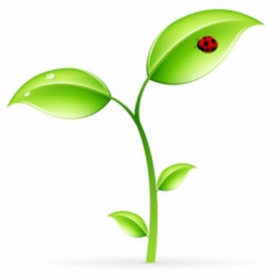 Plant-clear – Wayde Brown